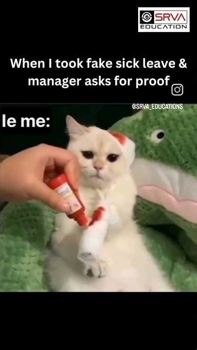 Silly Me Developermemes Catmemes Funny Codememes Catphotos Cat Codingmemes Catpictures