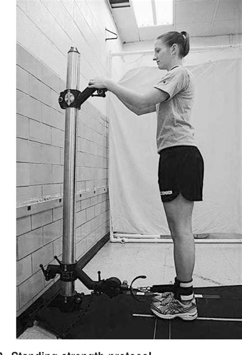 Figure 3 From The Reliability Of Portable Fixed Dynamometry During Hip And Knee Strength