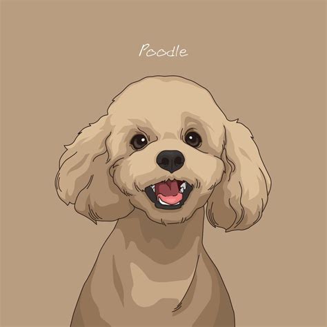 귀여운 깔끔함 심플한 푸들 반려견 강아지 개일러스트 초상화 그림 Poodle Illust Poodle Movie