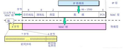 计算机网络——以太网帧结构格式以太网帧包括哪些字段 Csdn博客 计算机网络——以太网帧结构格式以太网帧包括哪些字段 Csdn博客