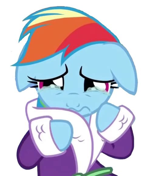 Rainbow Dash Crying Vector