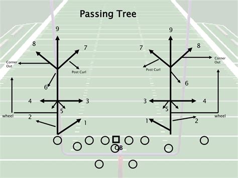 Ppt 2010 Leo Hayes Lions Offensive Playbook Powerpoint Presentation