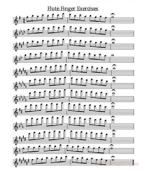 长笛新指法练习 长笛学习网