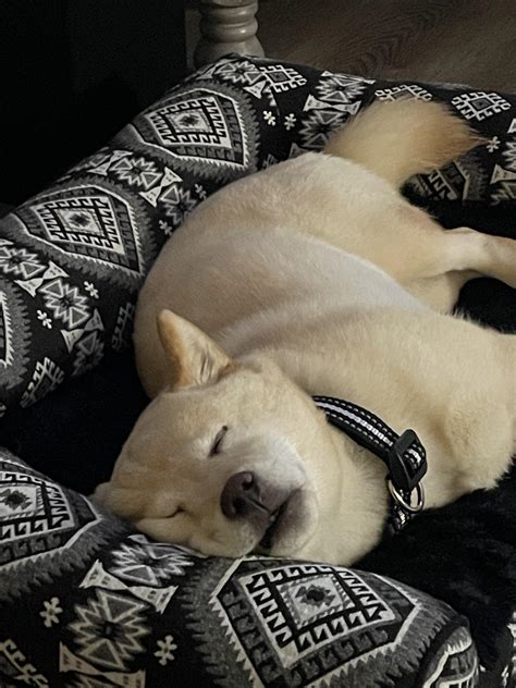 Squishy Soft Koishi Cheeks R Touhou