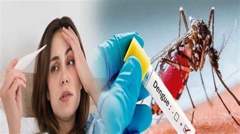 Dengue Hotspots In Bangalore 30 Areas With Active Cases Identified Oneindia News