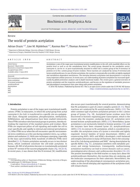 Protein Acetylation Pdf Proteasome Macromolecules