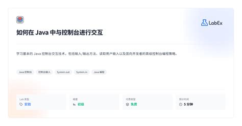 如何在 java 中与控制台进行交互 labex