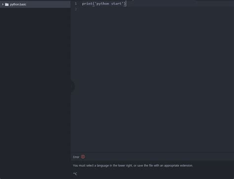 print가 이상해요 inflearn community qanda