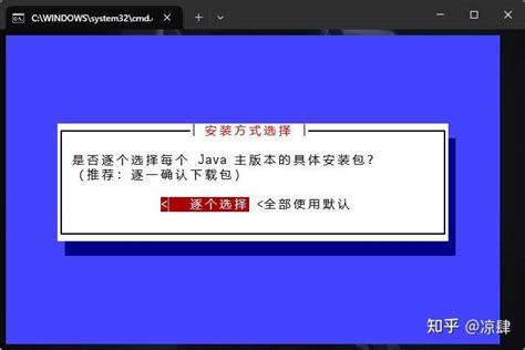 怎么换 Java 的运行版本？ 知乎