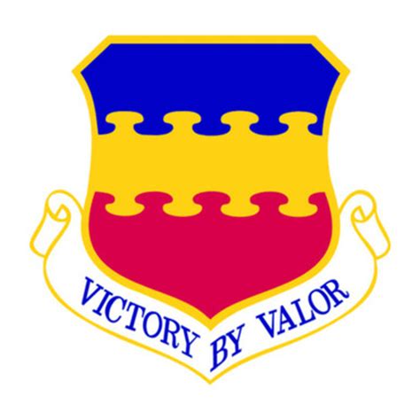 20th Fighter Wing Patch