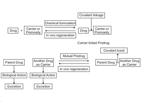 Schematic Representation Of Carrier Linked Prodrug And Mutual Prodrug