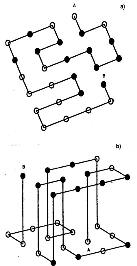 An Example Of An Adsorbed Conformation In The Ground State On A The