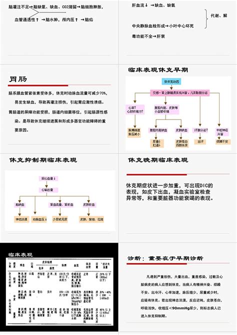 外科休克ppt英语 卡卡办公