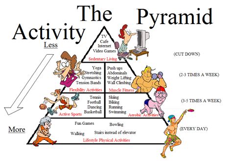 Dimensions Of Physical Activity Monitoring And Promotion Of Physical Activity