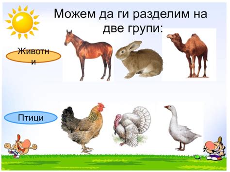 Домашни животни