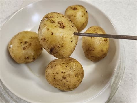 매쉬드포테이토 매쉬포테이토 만들기