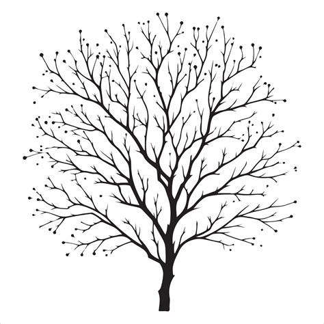 Minimal Autumn Naked Tree Vector Silhouette 36286115 Vector Art At Vecteezy