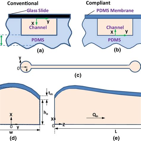Schematic Of The Pdms Based Microfluidic Device A Conventional B
