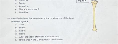 Solved Identify The Bone That Articulates At The Proximal