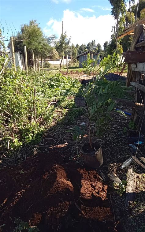 Kelvin Koome Posted On Linkedin