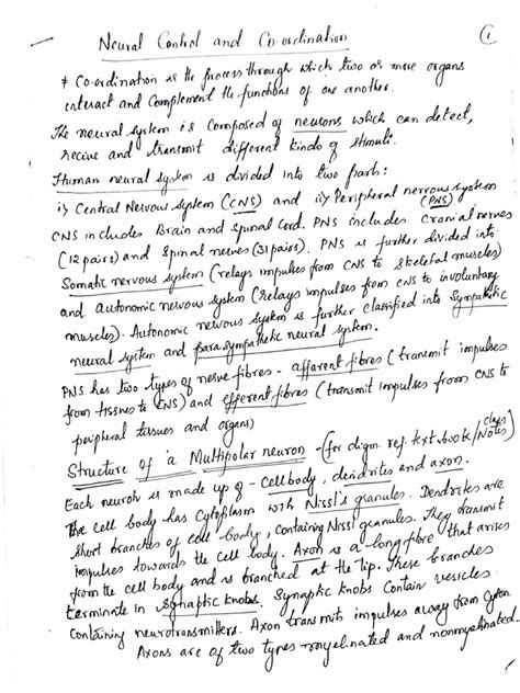 Neural Control And Coordination Notes Pdf