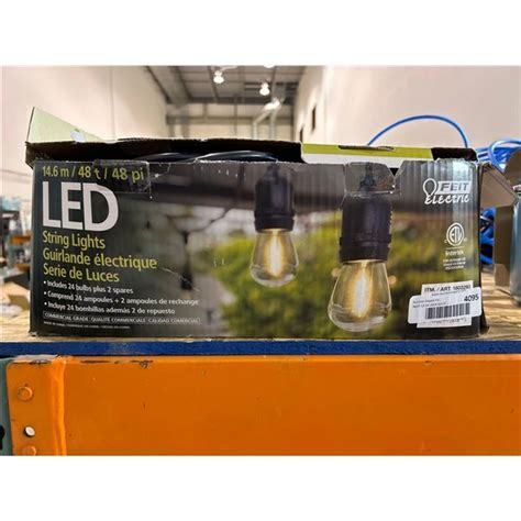 Led Outdoor String Lights 48ft In Length