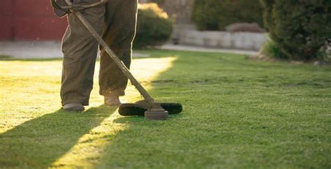 Synthetic Grass Maintenance Maintenance Services And Cleaning Guide