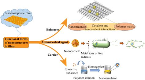 Functional Forms Of Nanostructures In Films Download Scientific Diagram