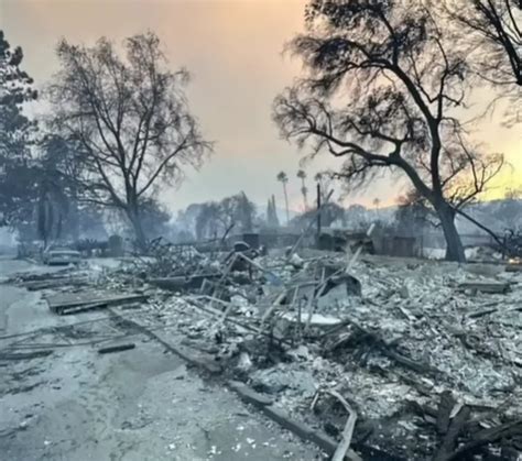 Dalyce Curry Dead Actress Found In La Wildfires