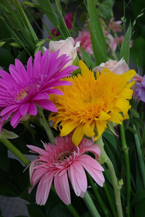 화훼장식기능사 실기시험 Ep10 구조물 꽃다발 네이버 블로그