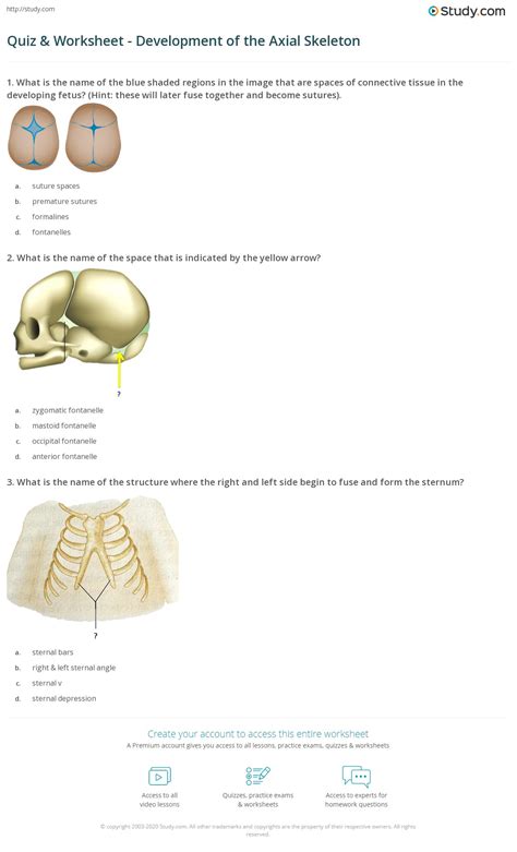 Quiz And Worksheet Development Of The Axial Skeleton
