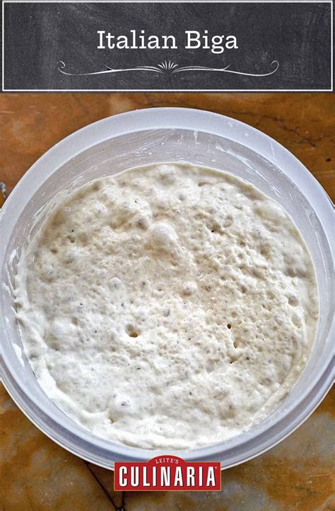 Italian Biga Recipe Biga Recipe Bread Starter Starters Recipes
