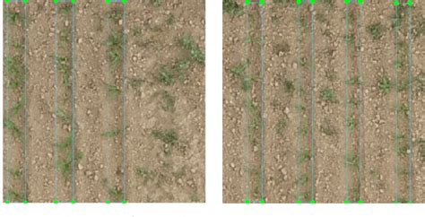 Figure 1 From Weed Detection In Maize Fields By Uav Images Based On