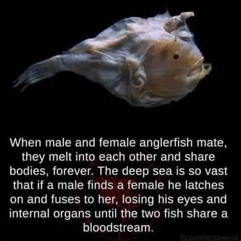 Now Thats Codependency In Every Sense Of The Word Album On Imgur