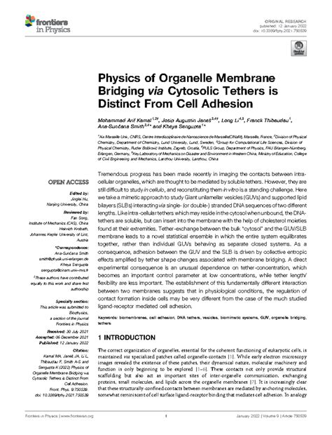 Physics Of Organelle Membrane Bridging However They Are Still