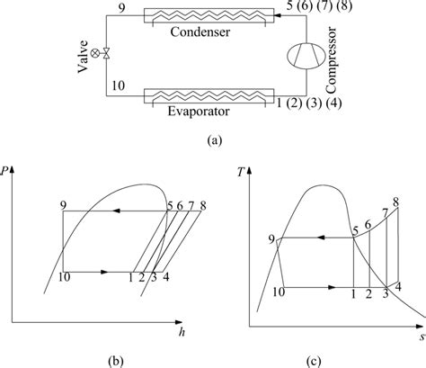 Diagram Of Different Compressions A The Schematic Diagram Of The Download Scientific Diagram