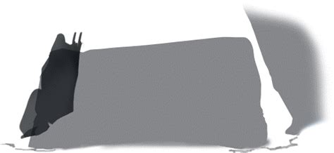 Shadow Maple Editors