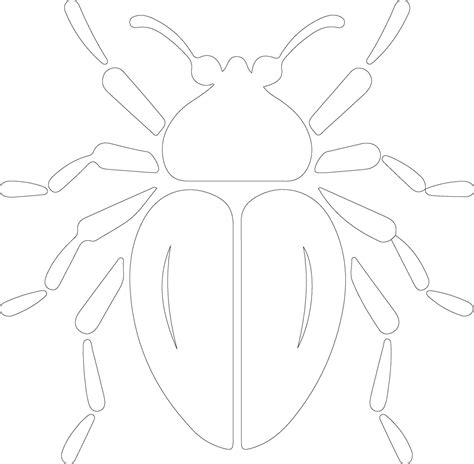 Bug Outline Silhouette 38496074 Vector Art At Vecteezy