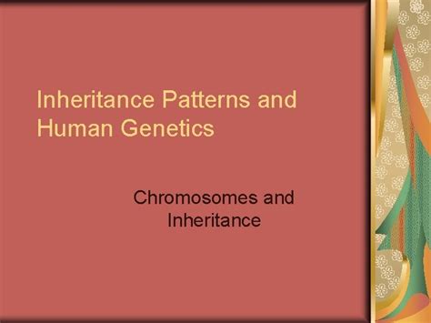 Inheritance Patterns And Human Genetics Chromosomes And Inheritance