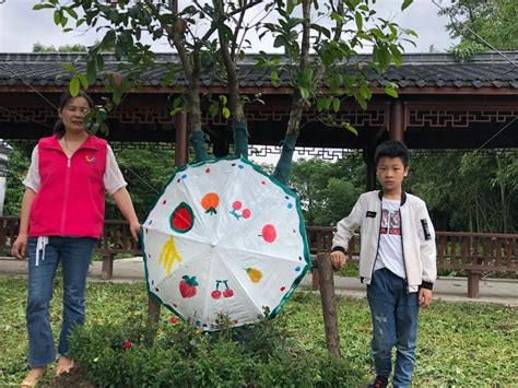 旧物新生，共建花满园！嘉兴科技城（大桥镇）妇联开展扮靓扮美公共绿化空间活动澎湃号·政务澎湃新闻 The Paper