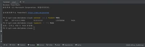 Web server failed to start Port 9001 was already in use 端口号被占用 CSDN博客