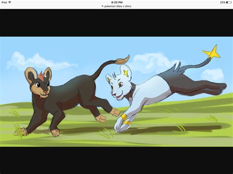 My Favorite Pokémon Ships Litleo X Shinx Wattpad
