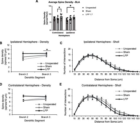 Quantification Of Dendritic Plasticity In The Basolateral Nucleus Of Download Scientific