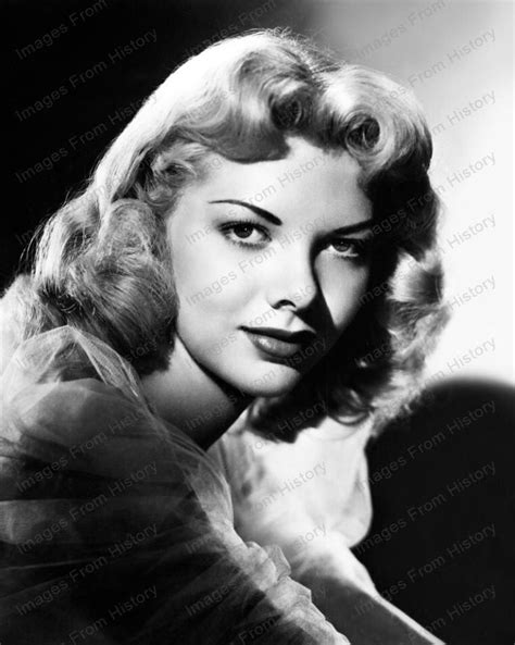 8x10 Print Barbara Lawrence Beautiful Portrait 3676 Ebay Barbara