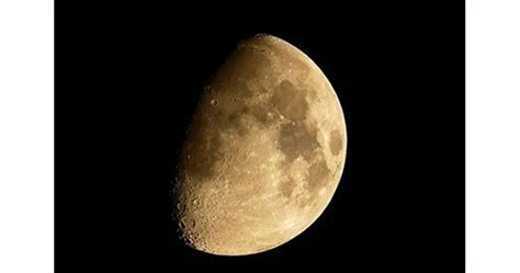 Китай планира да осъществи първия биологичен експеримент на Луната