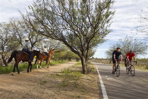 Chuck Huckelberry Loop A Guide Tucsontopia