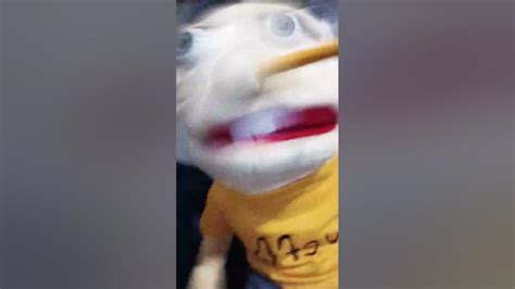 The Jeffy Dance Youtube