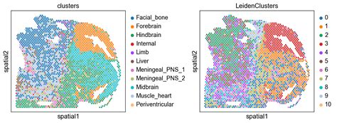 Tutorial 1 Cross Modality Representation Of Spatial Atac Mouse Embryo Samples — Present