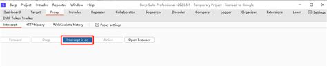 upload labs通关笔记 第11关 文件上传之双写绕过 upload文件上传第11管 csdn博客