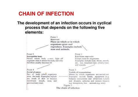 Examples Of Surgical Asepsis Ladegsmall